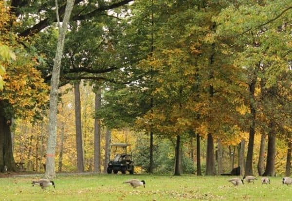 Experience Fall at Pyramid Hill Sculpture Park · 365Cincinnati.com