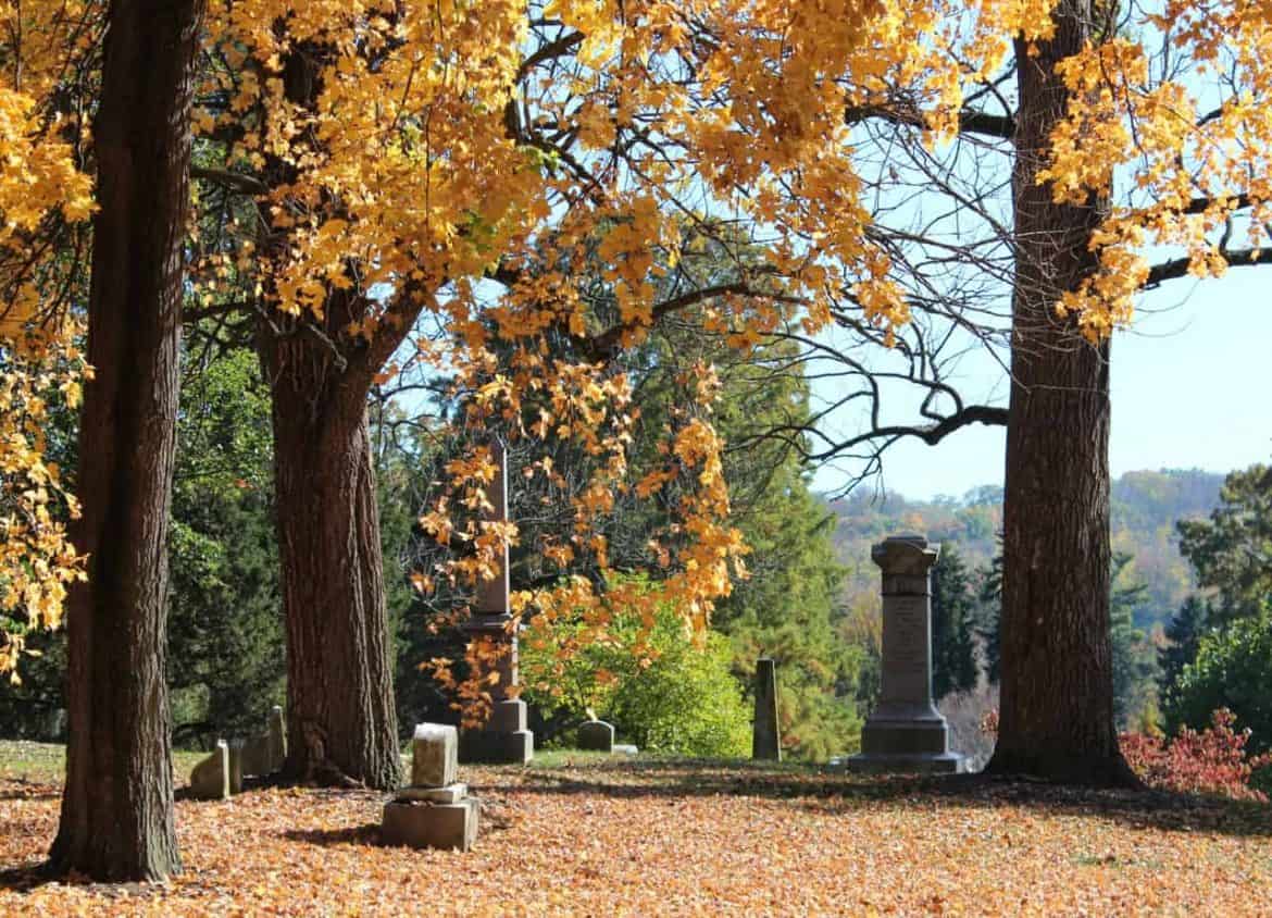 Enjoy the Fall Foliage at Spring Grove Cemetery and Arboretum