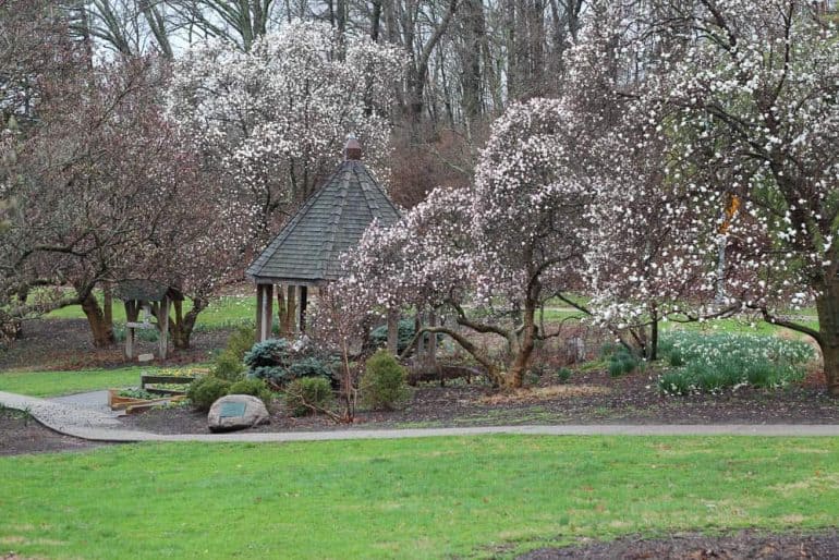 Spring Fun Guide - Things to Do in Cincinnati this Spring · 365 CINCINNATI