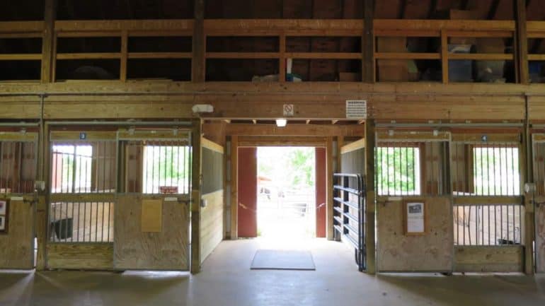 Parky's Farm · 365 CINCINNATI