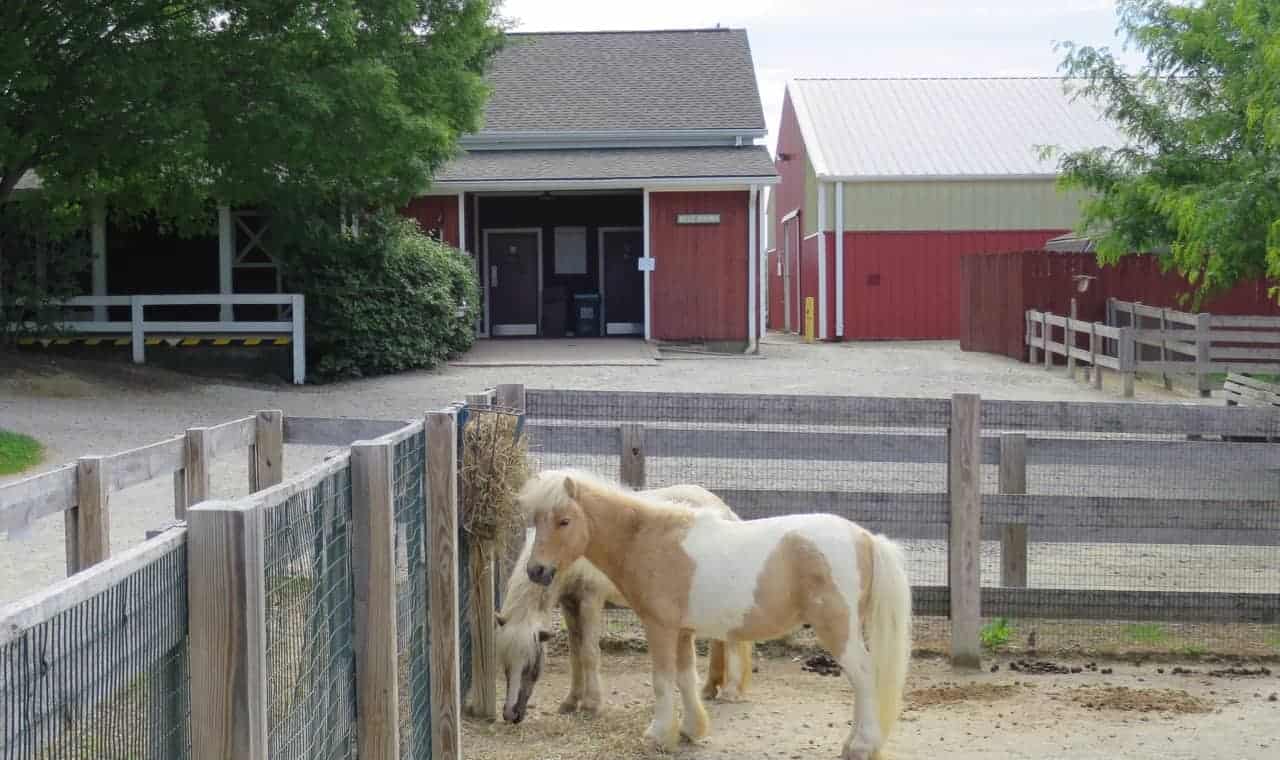 Parky's Farm · 365 CINCINNATI