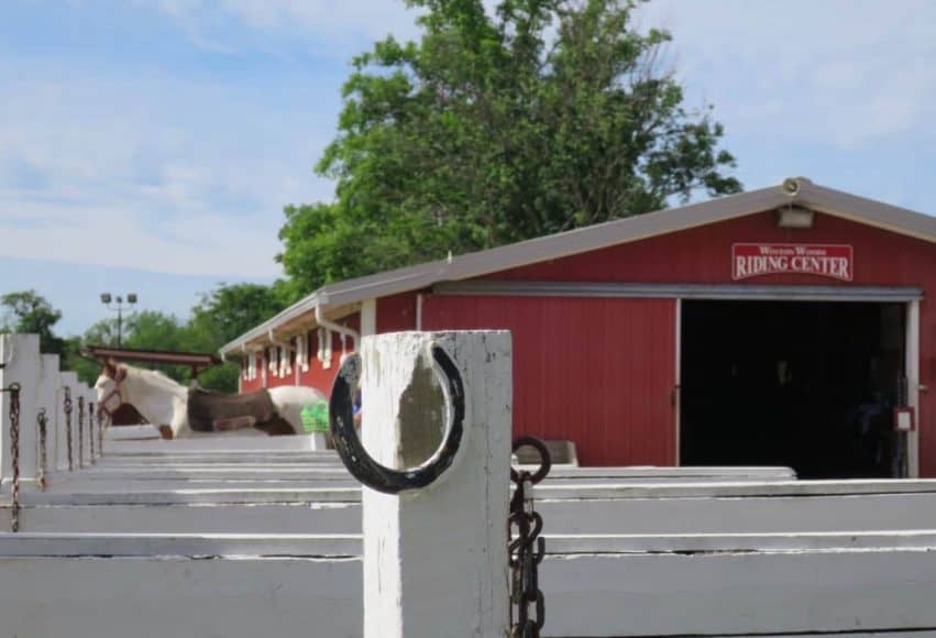 Parky's Farm · 365 CINCINNATI