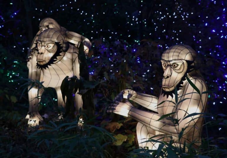5 Reasons Why the Cincinnati Zoo Festival of Lights is the Perfect ...
