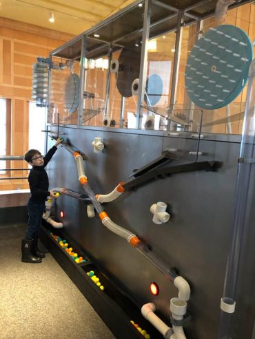 Visit the Museum of Natural History and Science at Cincinnati Museum ...
