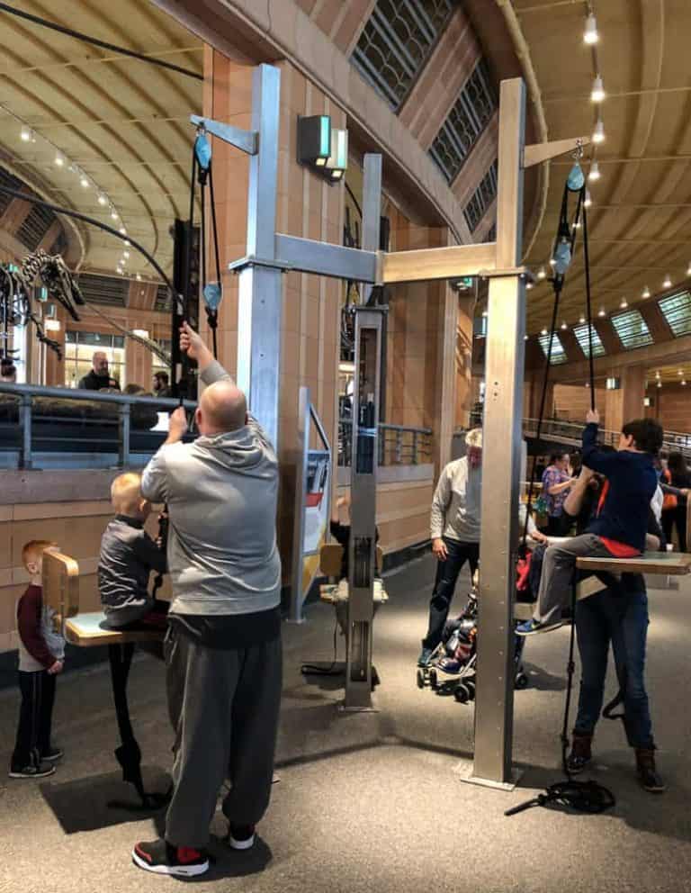 Visit the Museum of Natural History and Science at Cincinnati Museum ...
