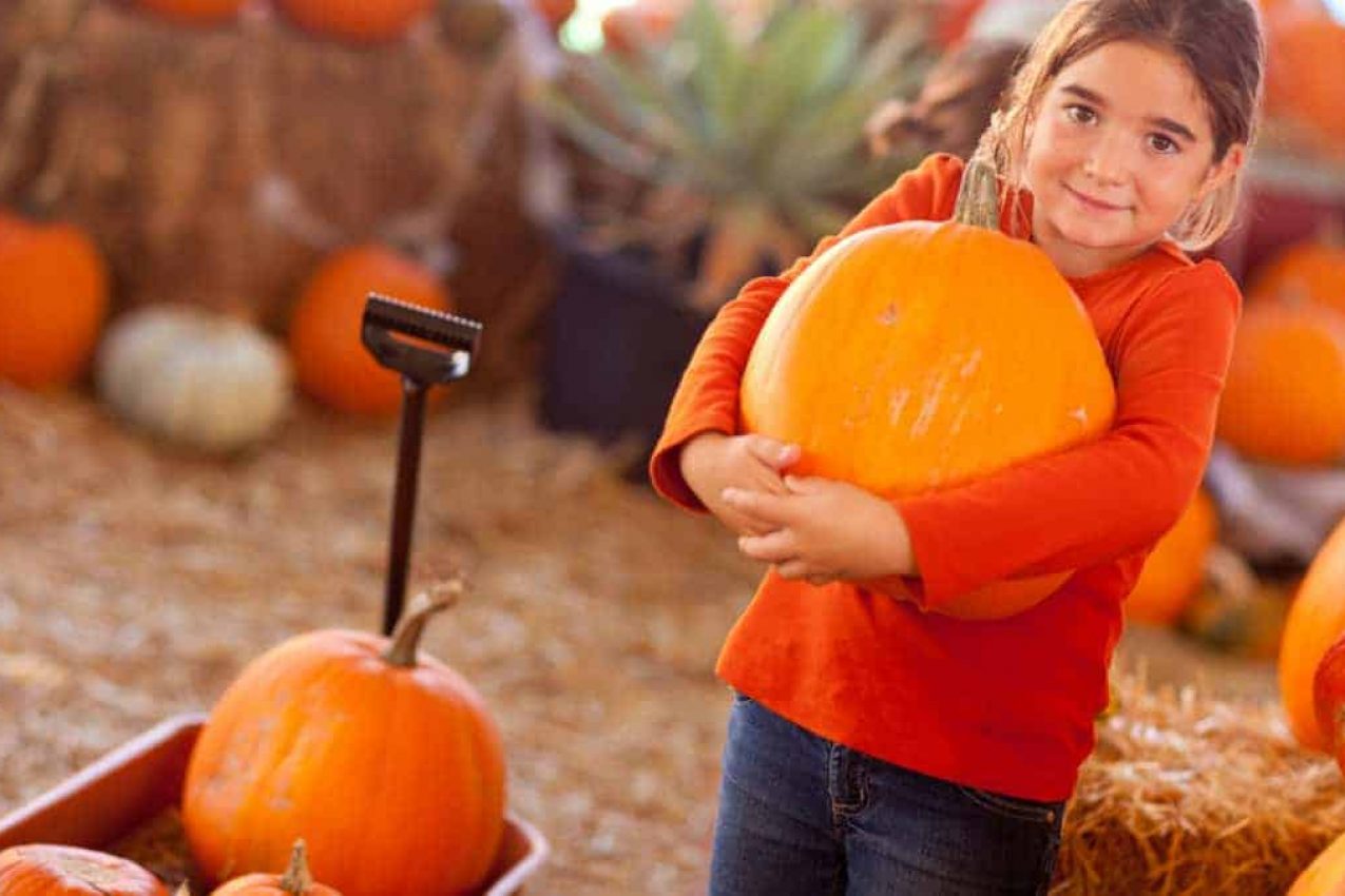 The Best Things to Do in Cincinnati | 365 Cincinnati