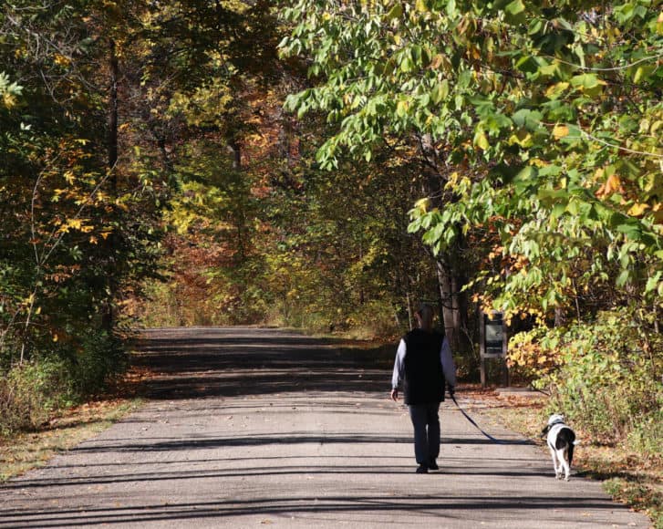 Hiking in Cincinnati: 11 of our Favorites · 365 CINCINNATI