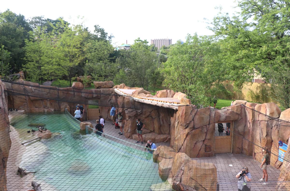 Bring Your Mates to Roo Valley at the Cincinnati Zoo · 365 CINCINNATI