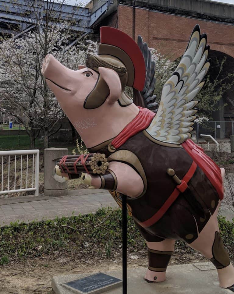 Big Pig Gig - Where to Find the Pigs Today · 365 CINCINNATI