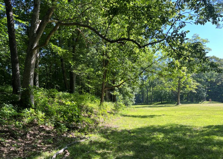 Exploring Fort Ancient Earthworks · 365 CINCINNATI
