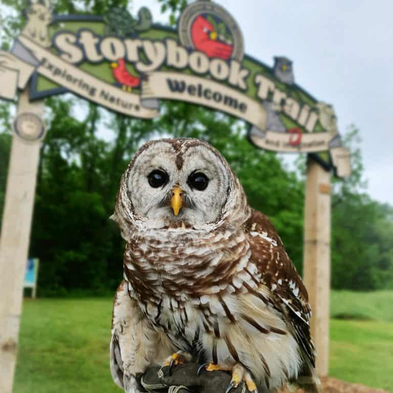 8 Family Farms to Visit Near Cincinnati · 365 CINCINNATI