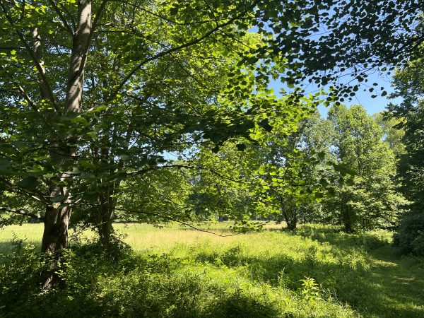 Exploring Fort Ancient Earthworks · 365 CINCINNATI
