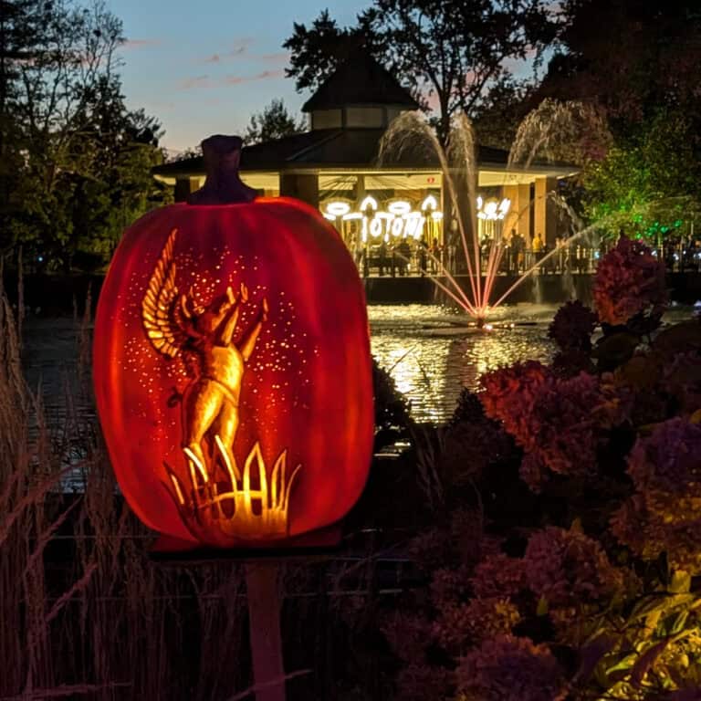 Experience Jack O'Lantern Glow at the Cincinnati Zoo · 365 CINCINNATI